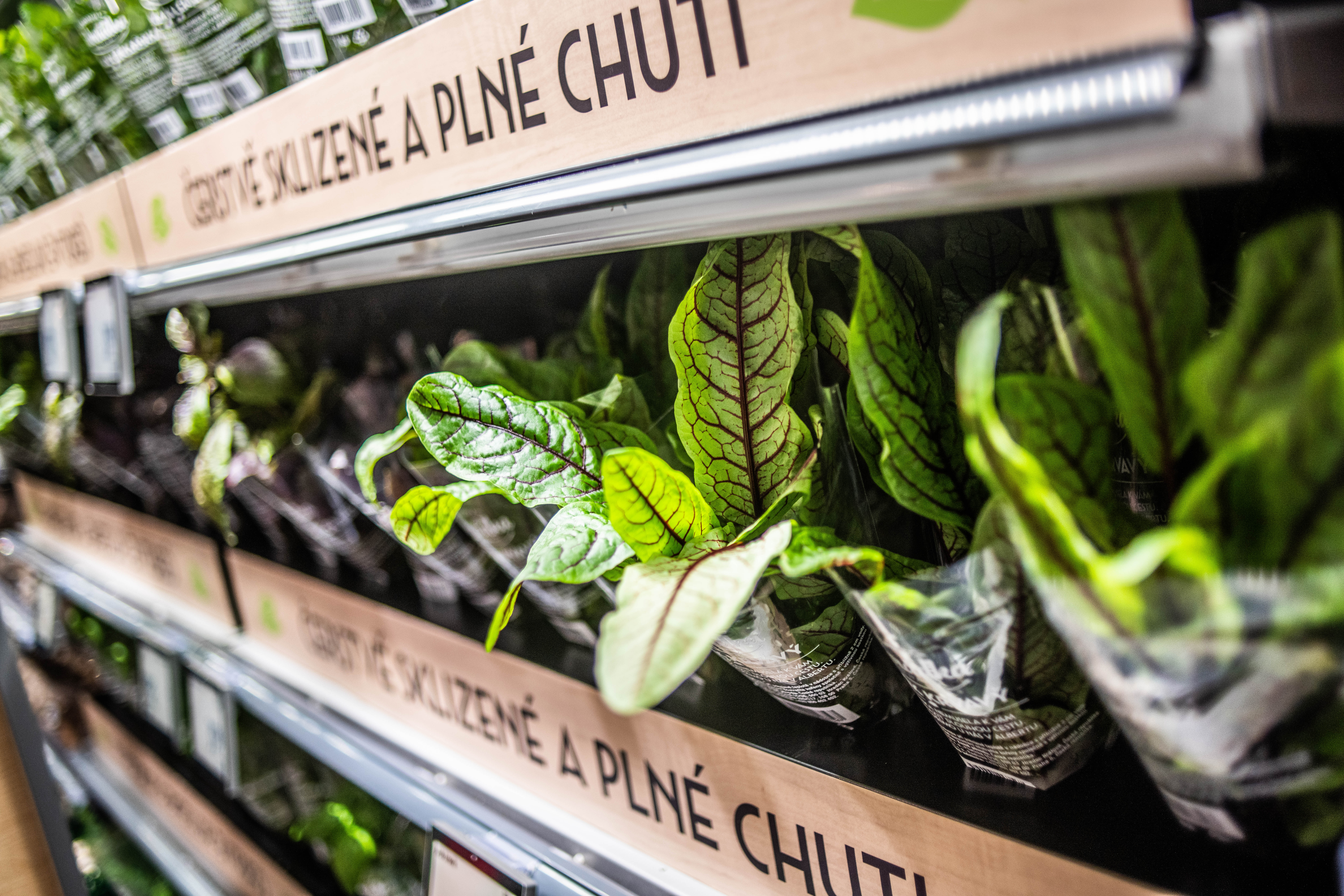 Albert tests hydroponic system directly in-store
